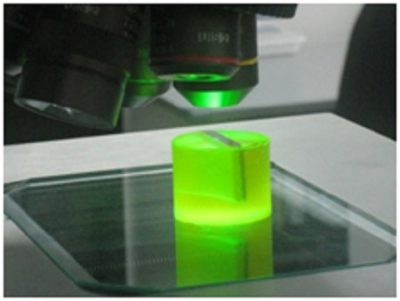 Repair Value Chain | SAESL