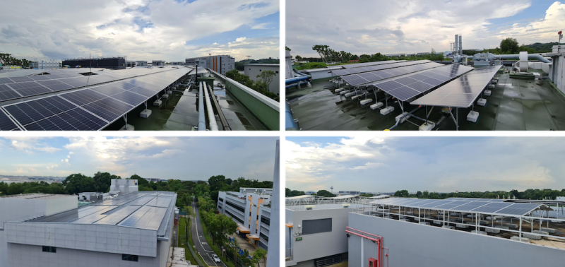 SAESL Company Profile